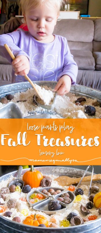 Fall Loose Parts Sensory Bin - MamaMeganAllysa