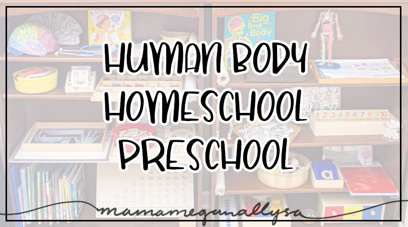 Human Body Unit Study for Homeschool Preschool Perfect for Curious ...
