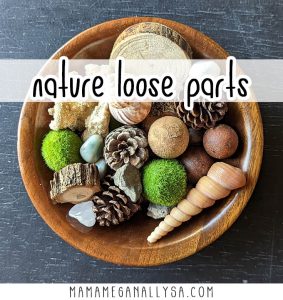 My Huge Ever-Growing Loose Parts List and Obession - MamaMeganAllysa