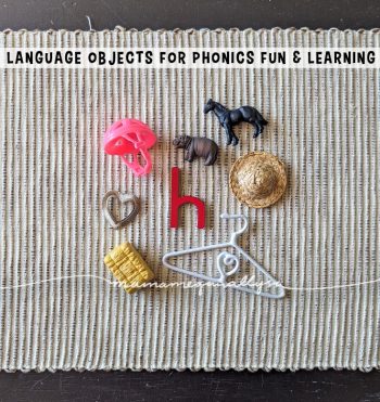 Language Objects Collection - +200 Ideas for Montessori Phonics Fun ...